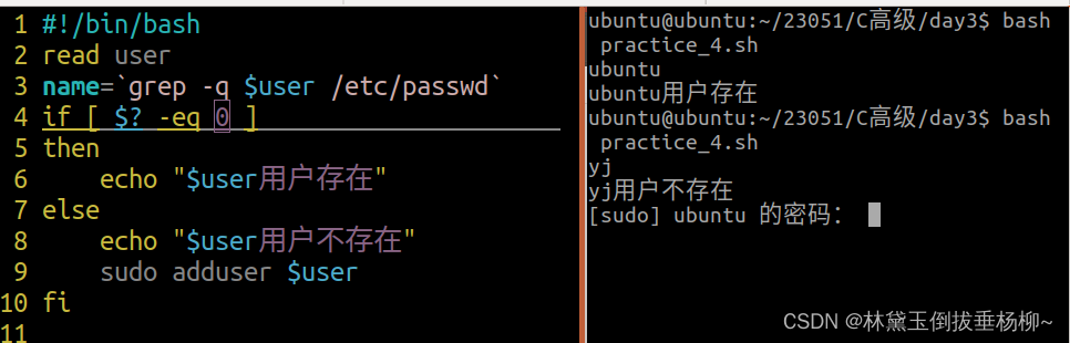 C高级--day3(shell中的输入、命令置换符、数组、算数运算、分支结构)_c shell 键盘输入-CSDN博客