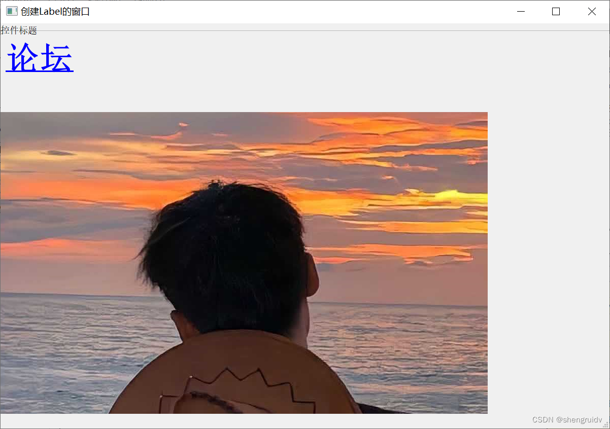 Qt Qlabel控件及其使用qt让label出现 Csdn博客 