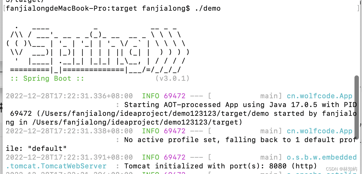 Springboot 3.0_springboot3.0-CSDN博客