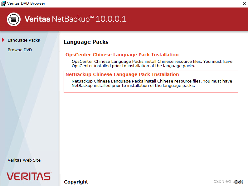 Veritas Netbackup10.1 windows管理控制台管理（汉化及web控制台）_netbackup10 许何证-CSDN博客