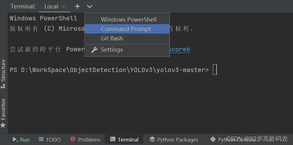 YOLOv3 快速上手：Windows 10上的训练环境搭建_yolo可以在windows平台运行吗-CSDN博客