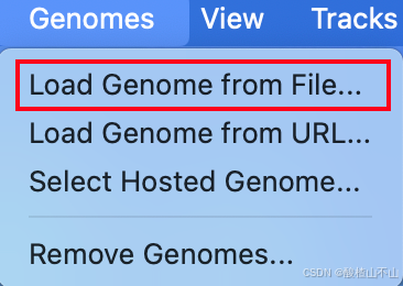 使用IGV批量载入bam文件查看reads情况_igv查看bam-CSDN博客