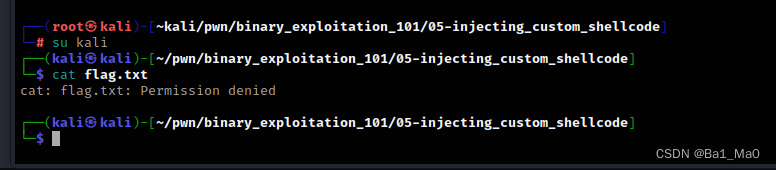 Pwn入门（6）写入shellcodepwntools Shellcode Csdn博客
