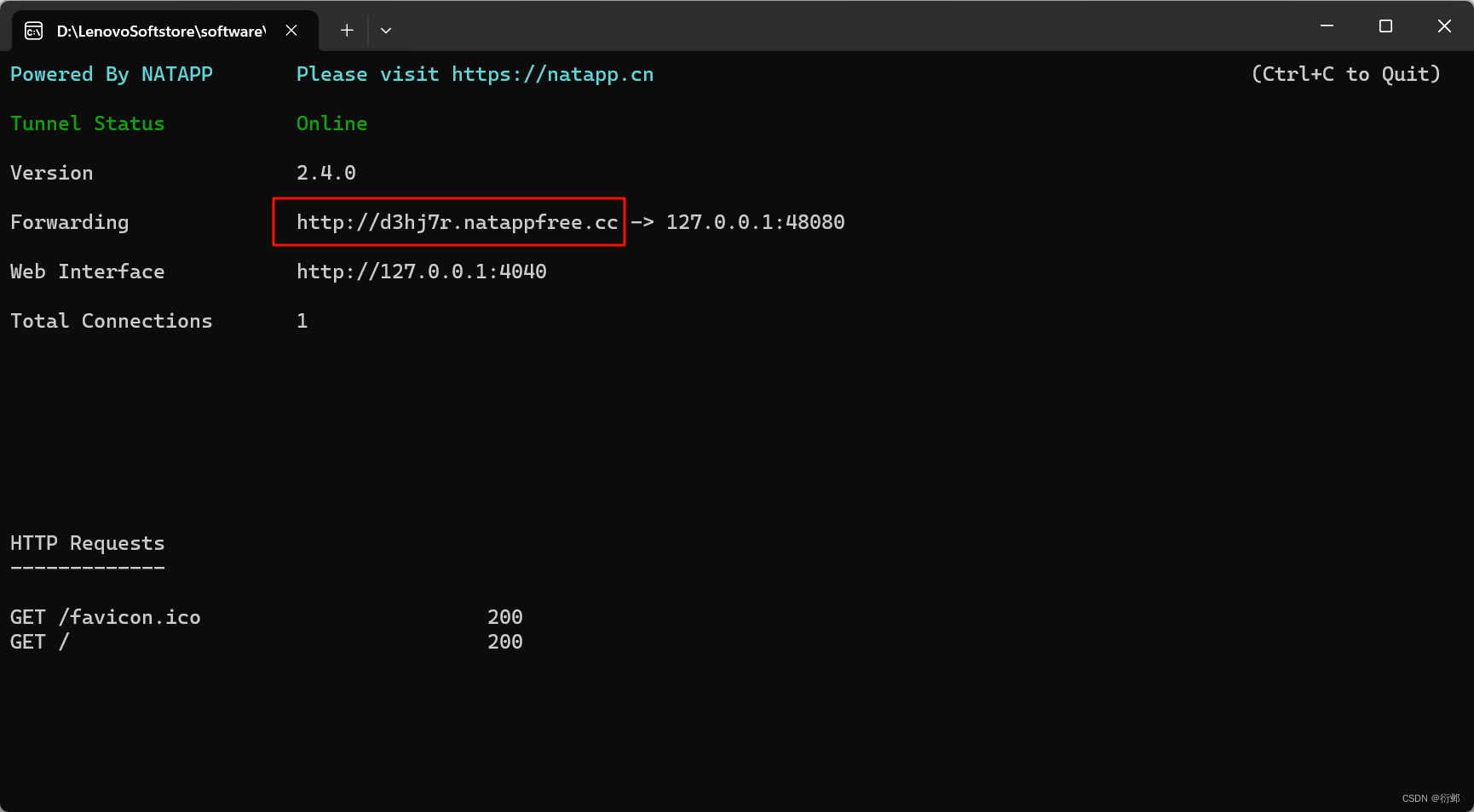 NATAPP新手指南：1分钟快速设置内网穿透服务-CSDN博客