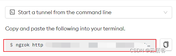 Ngrok：实现内网穿透与固定域名配置指南-CSDN博客