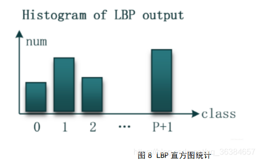 图像处理——基于纹理分类的LBP算法及matlab+python算法实现_二维纹理分析-CSDN博客
