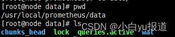 open /var/lib/prometheus/queries.active: permission denied“（已解决）-CSDN博客