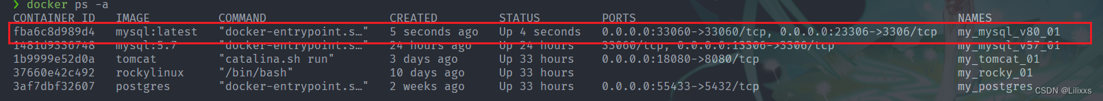 VS Code 与 MySQL 8 容器通过 SQLTools 进行连接-CSDN博客