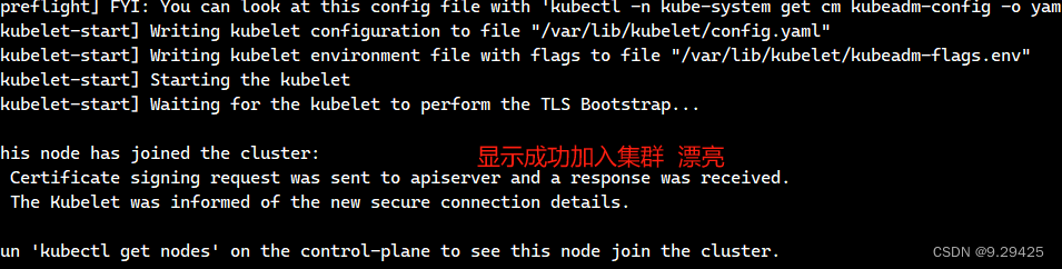 k8s部署出现的问题_error: accepts 1 arg(s), received 3-CSDN博客