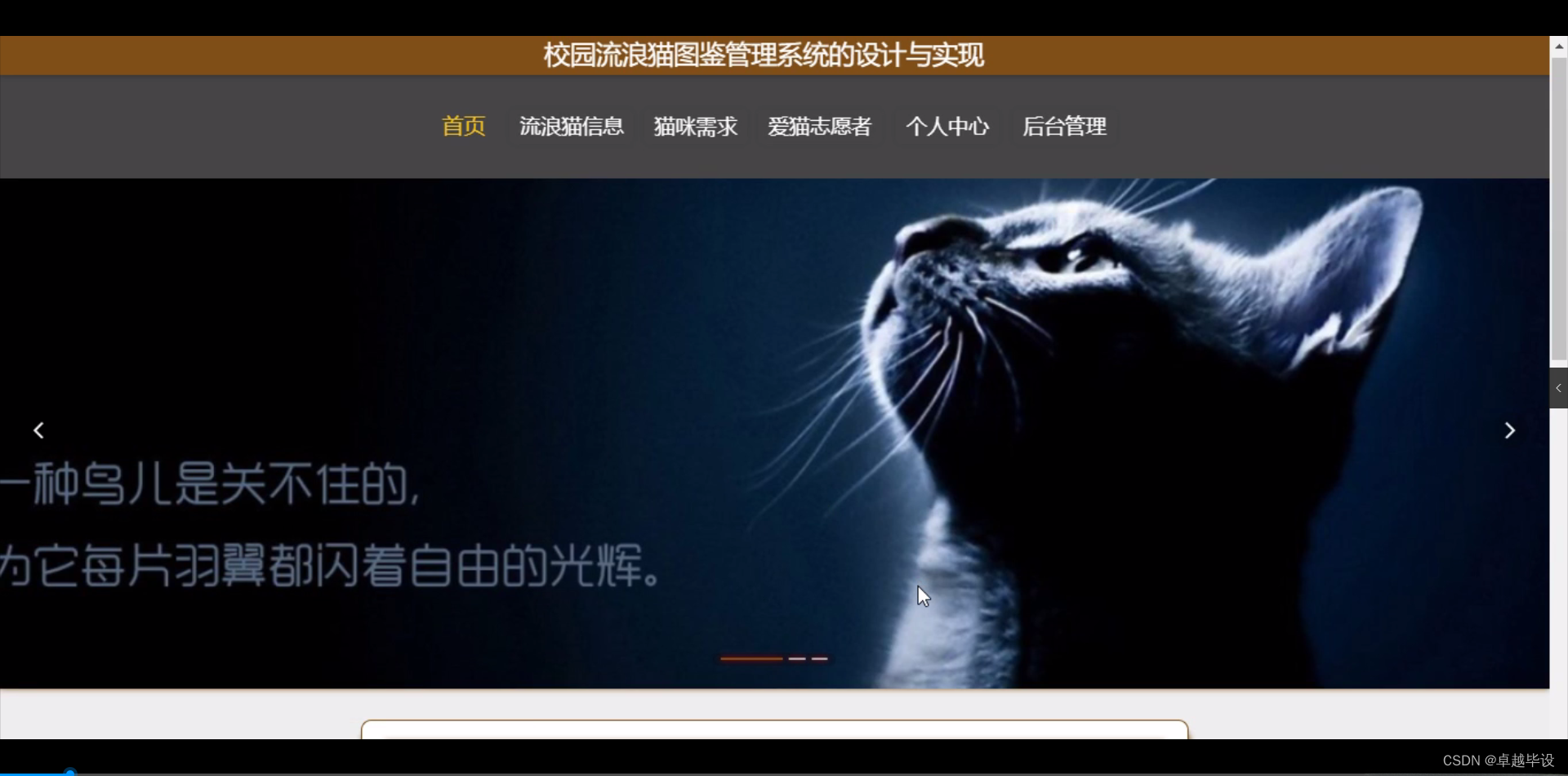 Java毕设项目校园流浪猫图鉴管理系统的设计与实现计算机（附源码系统数据库lw） Csdn博客