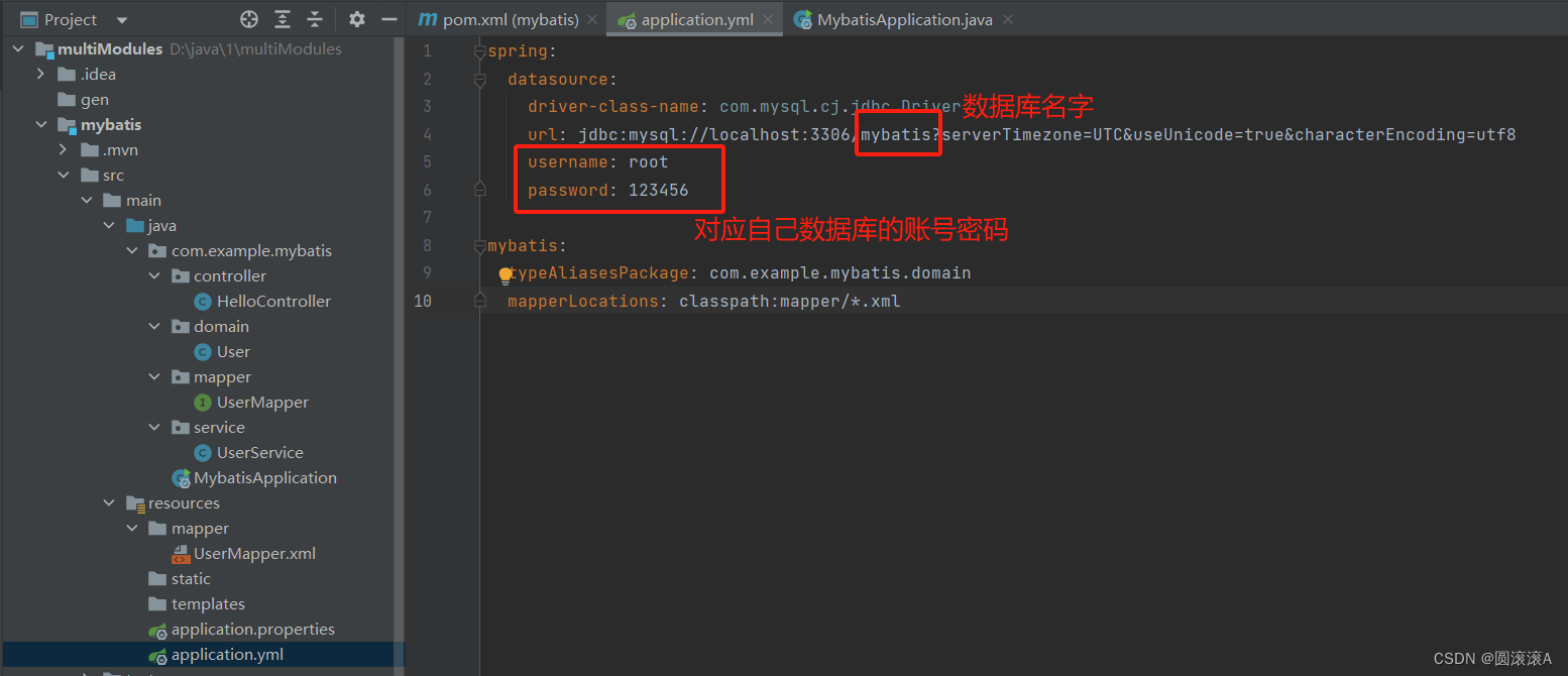Spring Boot 结合Mybatis读取数据库数据_spring boot 读取mysql-CSDN博客