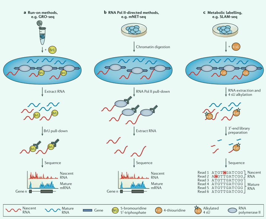 转录组RNA-seq分析前沿进展综述_dge数据-CSDN博客
