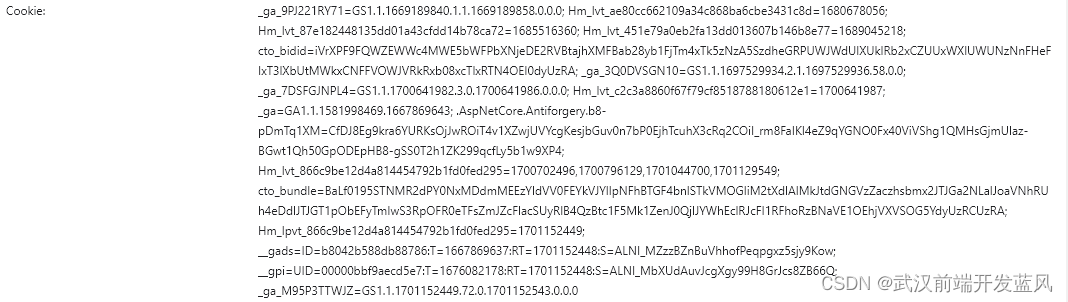 探囊取物之前端常见数据JSON格式化_cookie在线转换json-CSDN博客