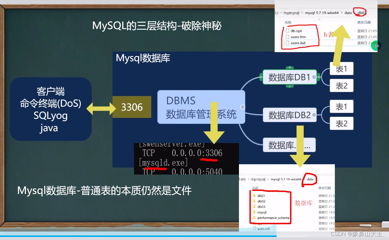 Mysql基础：sql语句分类与数据操作 Csdn博客 6114