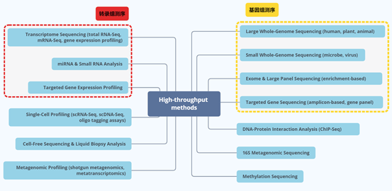 NGS测序方法及其分类详解-CSDN博客