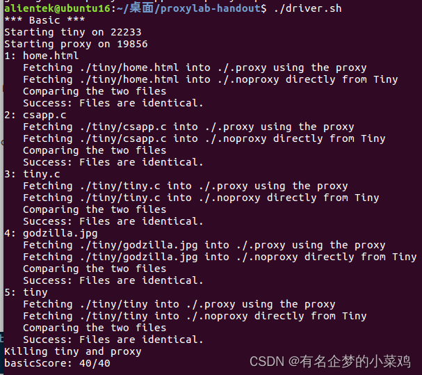 CSAPP的Lab学习——ProxyLab_proxylab实验-CSDN博客