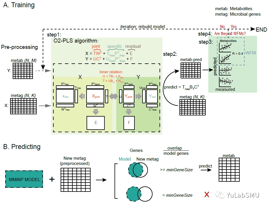 Gut Microbes | 余光创组发表MMINP-微生物相关代谢物预测工具-CSDN博客