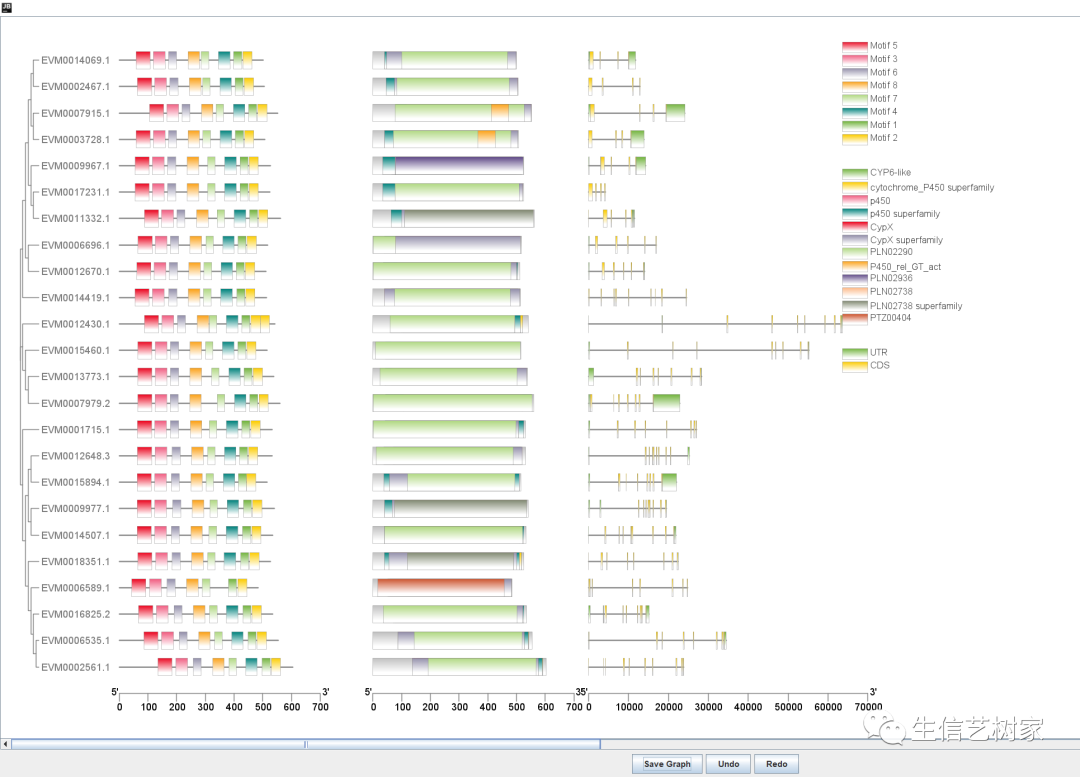 TBtools | 基因家族分析 (进化树、Motifs、结构域)_tbtools进化树-CSDN博客