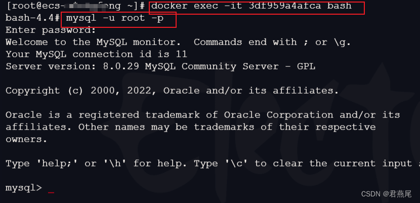 【云原生】docker环境中安装mysql、redis服务_dockerfile同时安装mysql和redis-CSDN博客