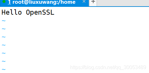 Linux上的OpenSSL安装和使用_dgst后缀什么文件-CSDN博客