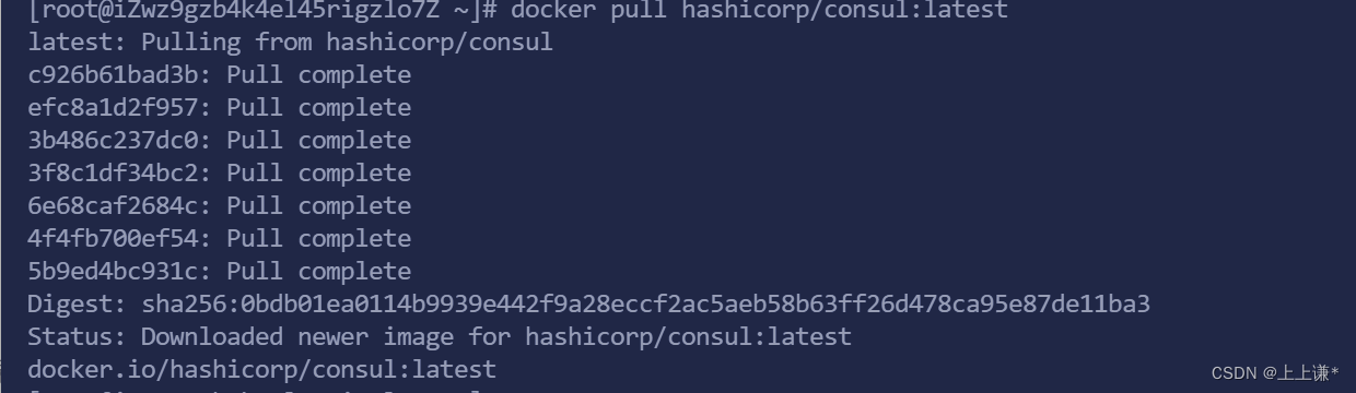最新版2023 docker 安装Consul_consul最新版本-CSDN博客