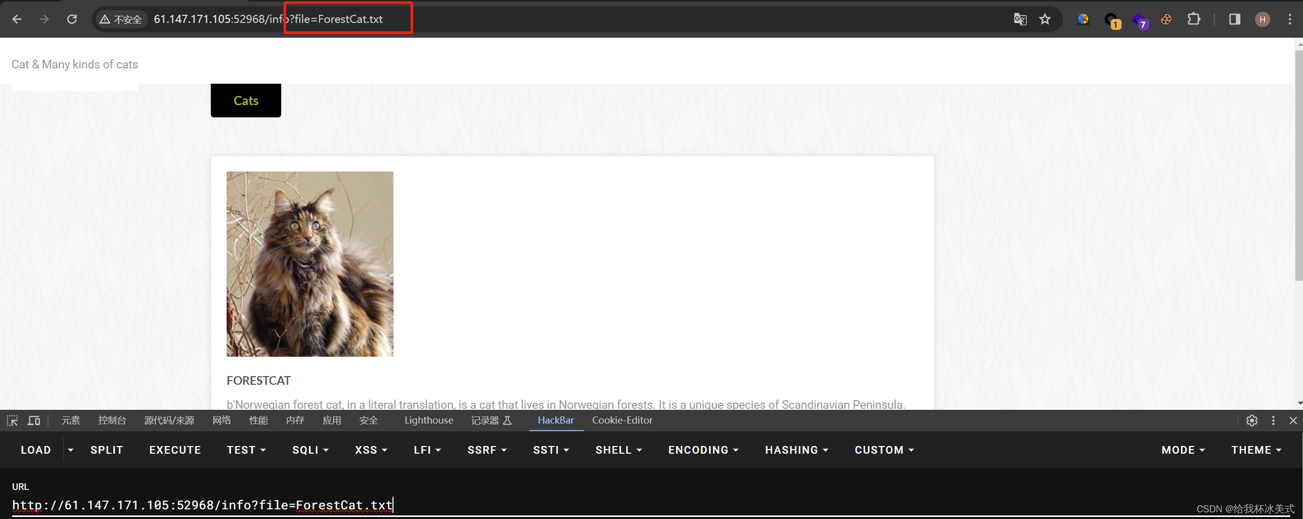 【攻防世界】catcat-new-CSDN博客
