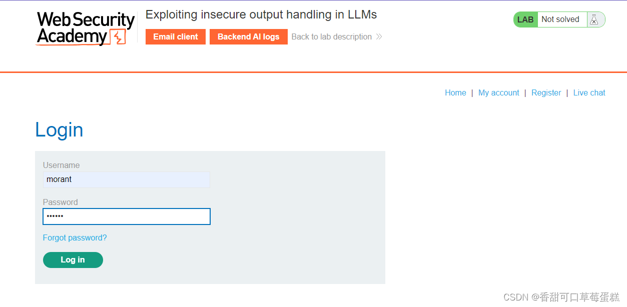 Web LLM 攻击实验：利用 LLM 中不安全的输出处理_llm不安全的输出处理-CSDN博客