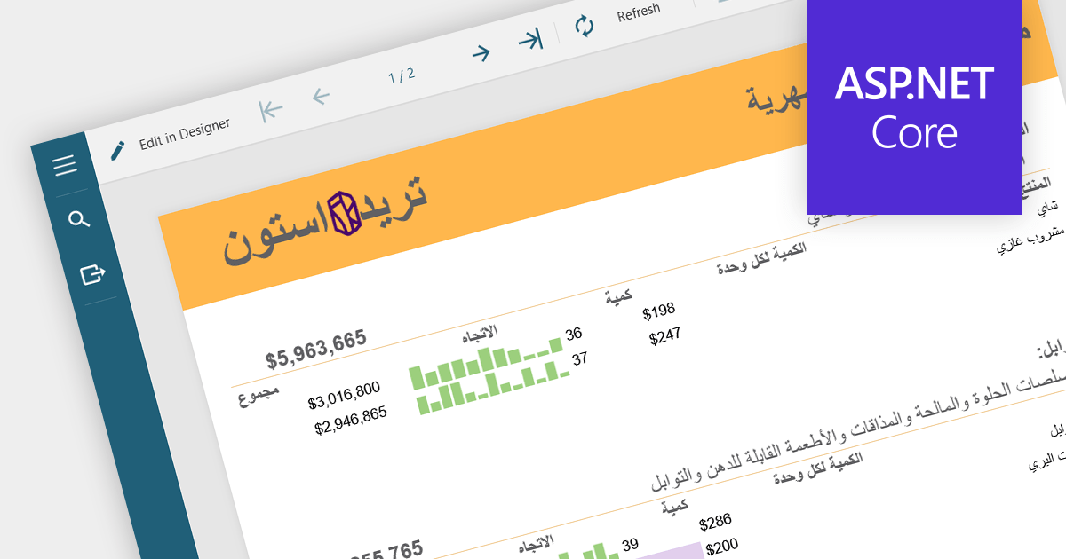 Build International Reports RTL Support-ActiveReports.NET-CSDN博客