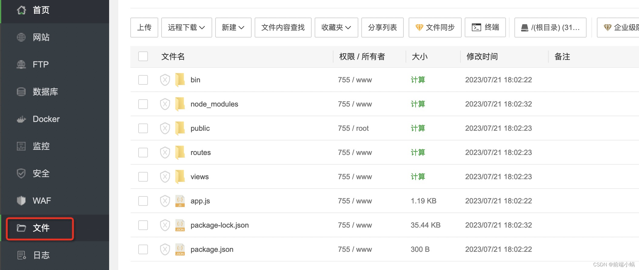 Nodejs Express从构建到宝塔部署上线宝塔部署express代码 Csdn博客 