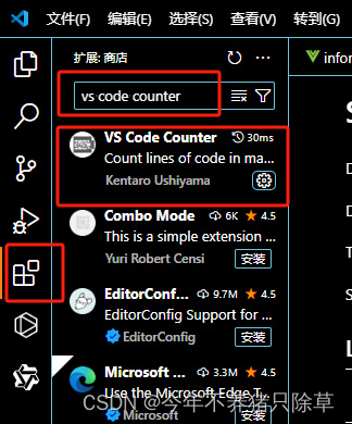 如何查看vscode打开的当前项目有多少行代码_vscode统计代码行数-CSDN博客