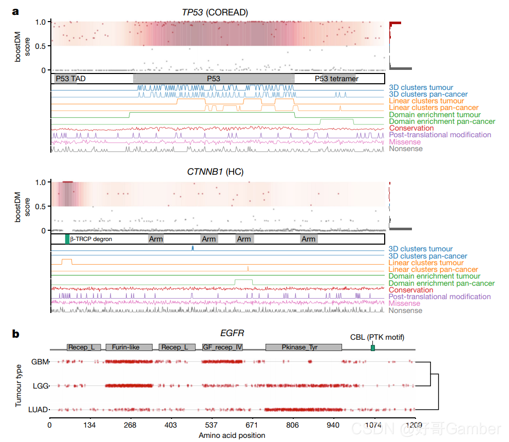 In silico saturation mutagenesis of cancer genes 解读_in silico mutations ...