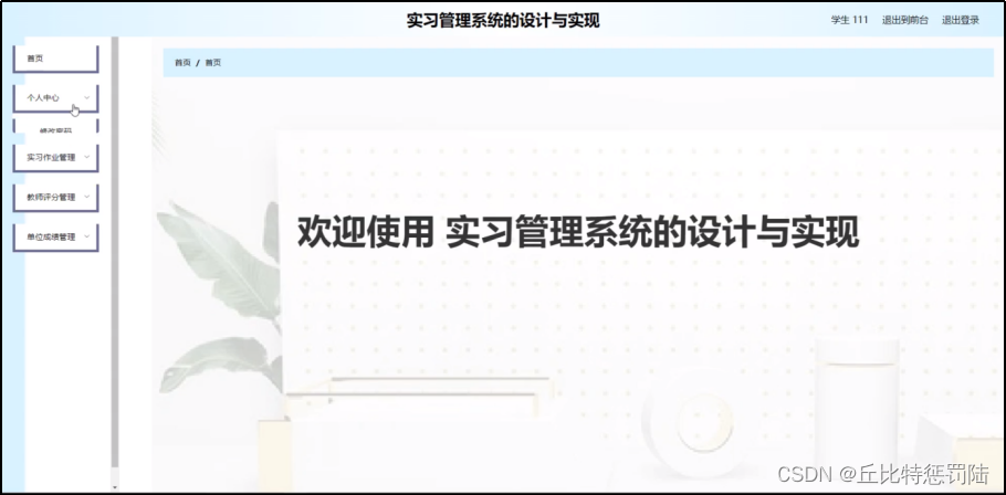 基于 Java Springboot Vue Mysql 大学生实习管理系统(含源码)顶岗实习系统 Java Csdn博客