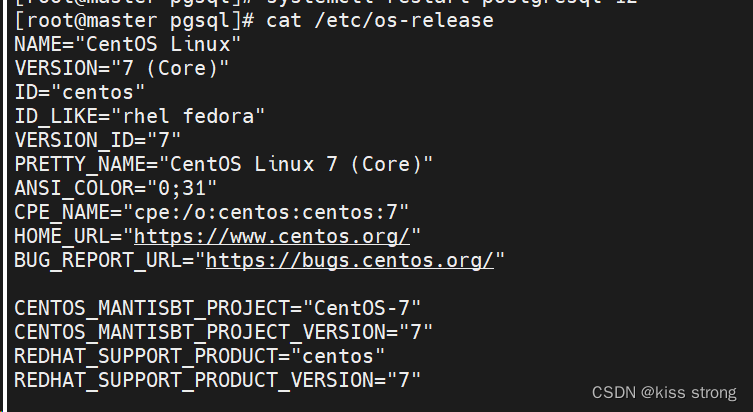 centos7安装pg教程_centos7安装pg数据库-CSDN博客