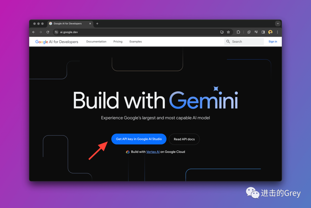 一键部署体验谷歌最强模型 Gemini！-CSDN博客