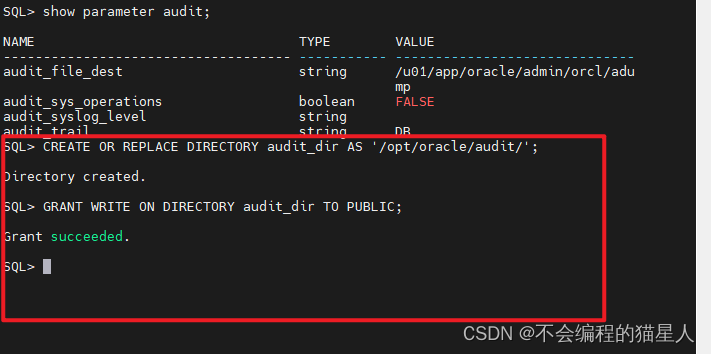 开启数据库审计 db,extended级别或os级别)并将审计文件存放到/opt/oracle/audit/下_oracle19c开启db审计还记录到os下面-CSDN博客