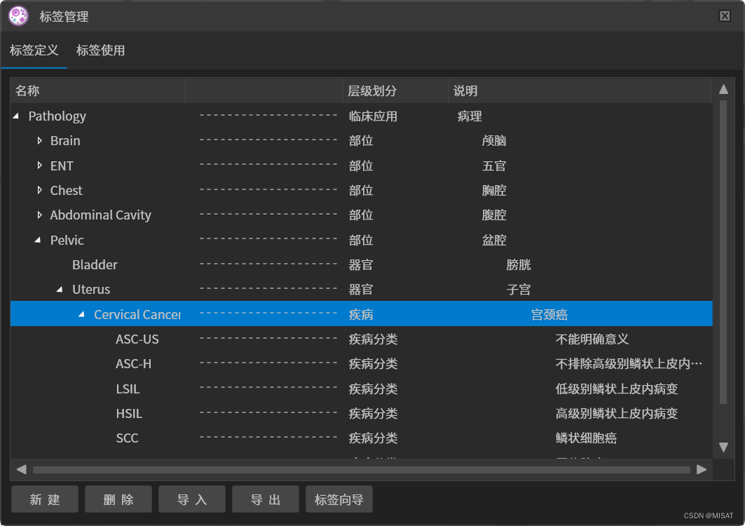 MISAT医学图像分割与标注软件套装专业版正式上线-CSDN博客