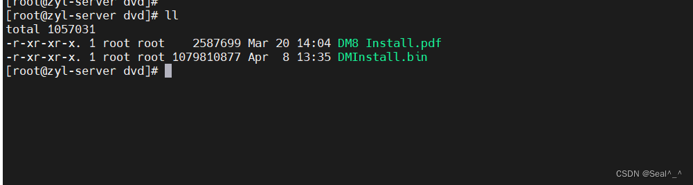 【DM】Linux下安装 DM数据库-命令行安装_linux安装dm数据库-CSDN博客