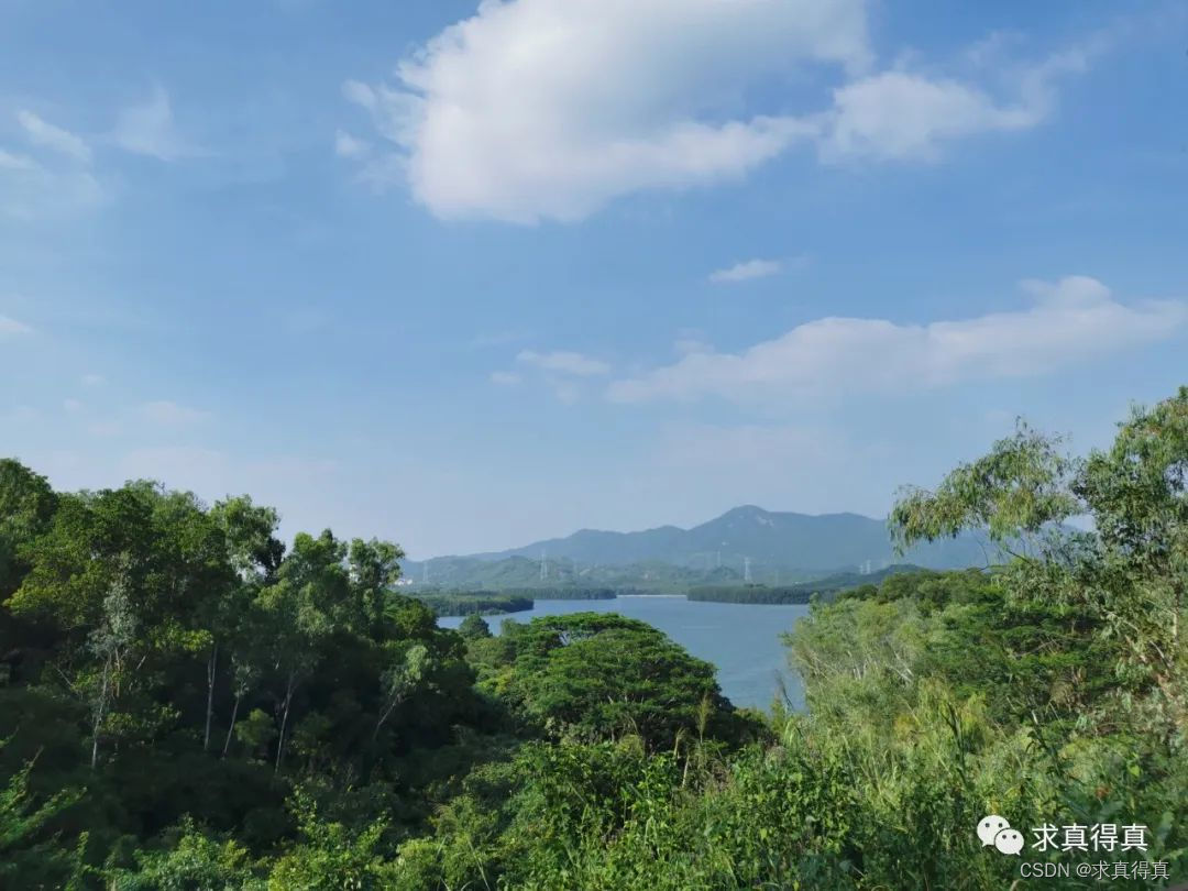 freeswitch on debian docker_debian11.8 debian bookworm-CSDN博客