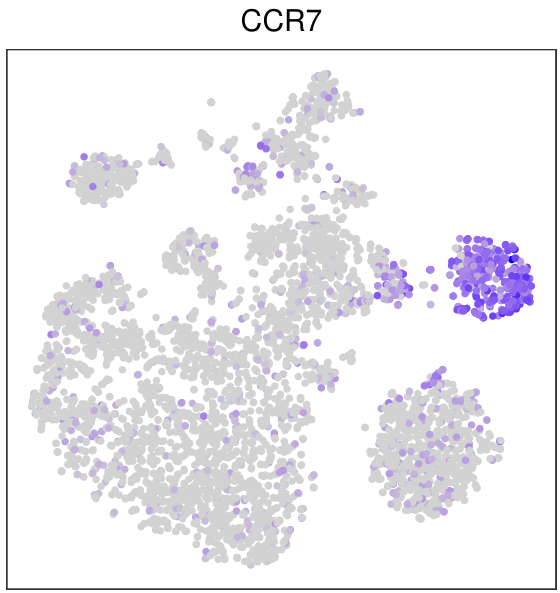 2023-11-28-直播单细胞图表美化-seurat数据结构 featureplot dotplot vlnplot_nebulosa如何 ...