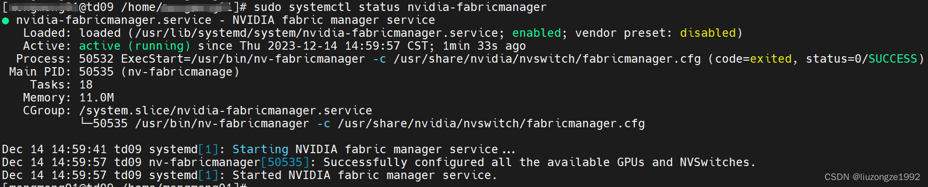解决多卡机器CUDA Error Code 802(CUDA_ERROR_SYSTEM_NOT_READY)_nvidia fabricmanager-CSDN博客