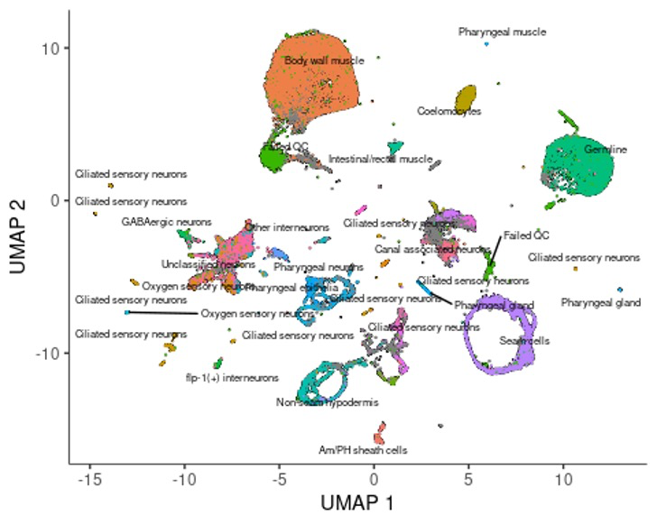 Monocle 3 | 太牛了！单细胞必学R包！~（一）（预处理与降维聚类）_monocle3更改颜色-CSDN博客