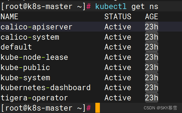k8s-pod基本管理(namespace,pod增删查)_查看pod命令-CSDN博客
