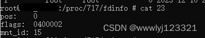Linuxproc文件系统中的/proc/pid/fd和fdinfo详解,-CSDN博客