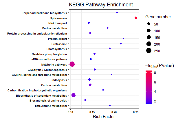 模式植物构建orgDb数据库 | 以org.Slycompersicum.eg.db为例_org.ljaponicusr.eg.db-CSDN博客