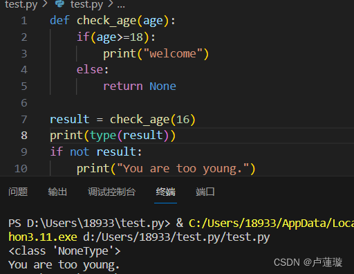 python函数的None类型返回值_返回none-CSDN博客