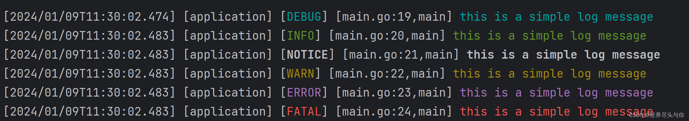 Go语言日志美化库，slog使用指南_go slog-CSDN博客