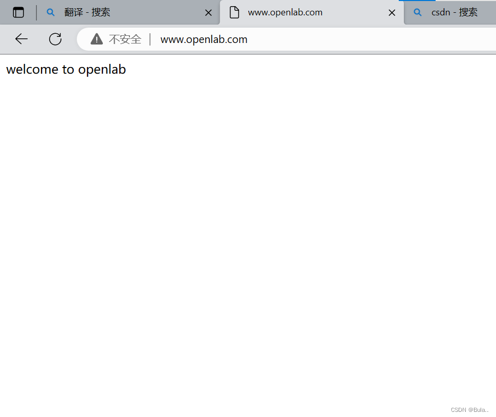 给openlab搭建网站_致网openlab网络实验平台-CSDN博客