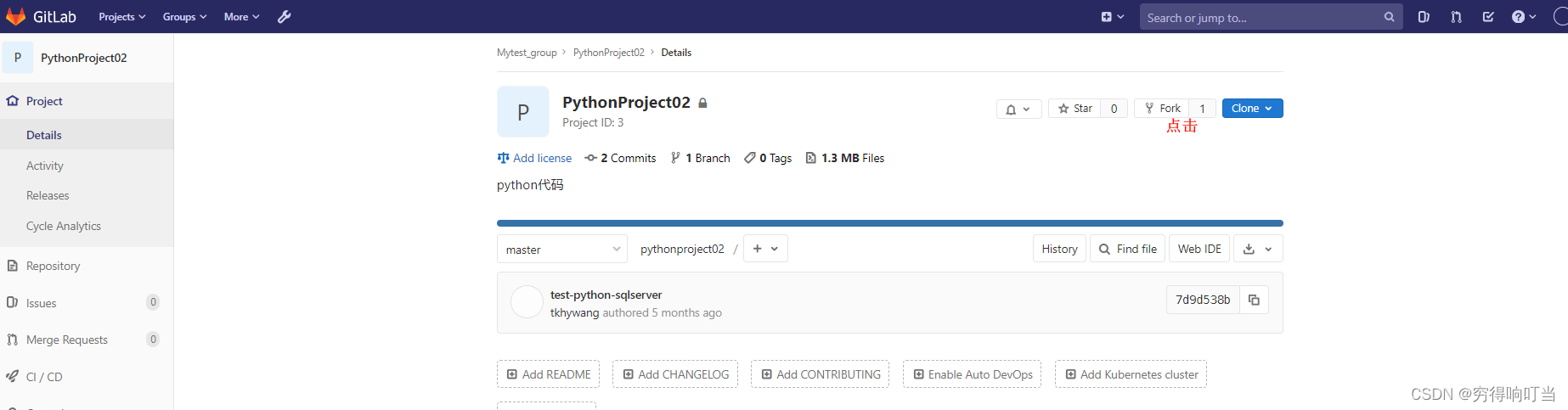 Python代码上传项目到gitlab_vscode中上传项目到gitlab-CSDN博客