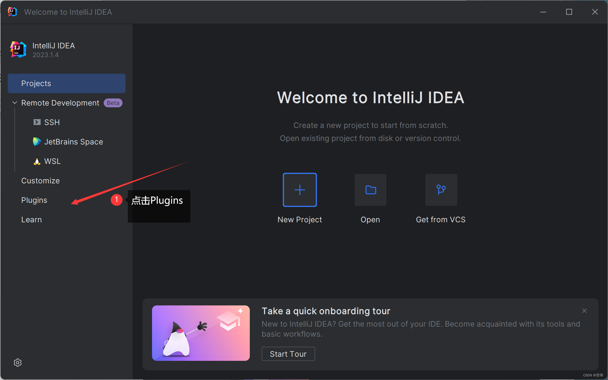 IDEA汉化(任何版本都可用)_idea2023汉化包-CSDN博客